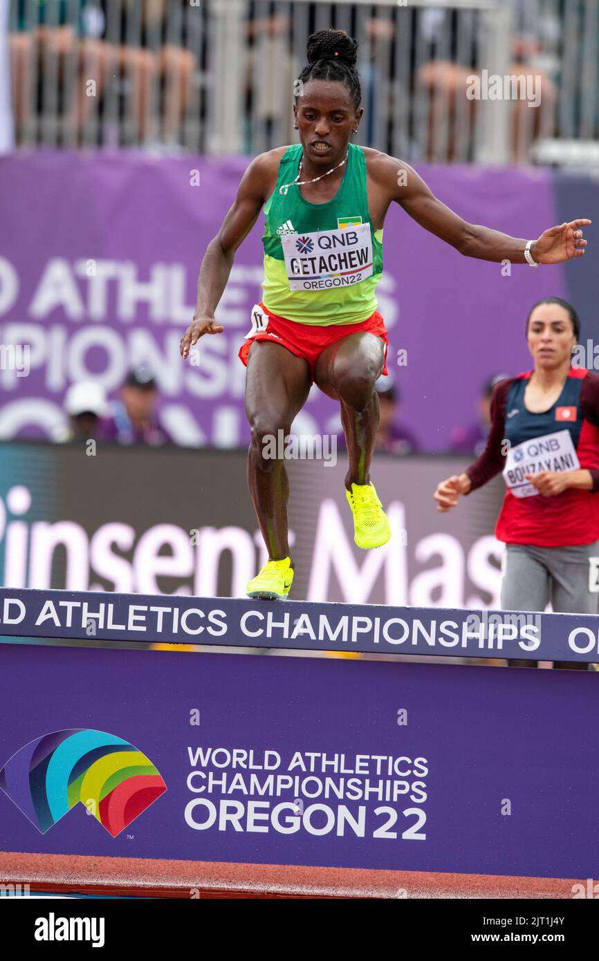 Werkuha getachew of ethiopia hi-res stock photography and images - Alamy