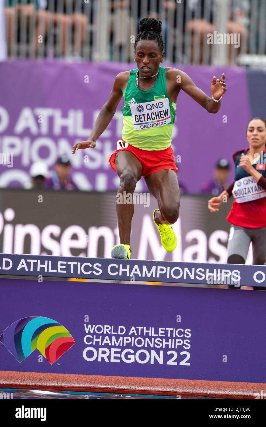 Werkuha Getachew of Ethiopia competing in the women’s 3000m ...