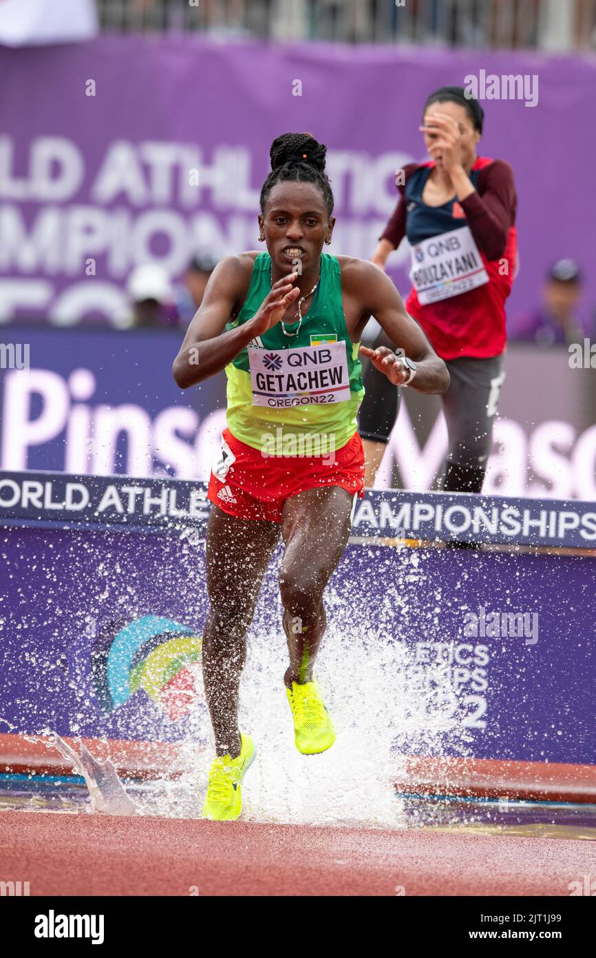 Werkuha Getachew of Ethiopia competing in the women’s 3000m ...