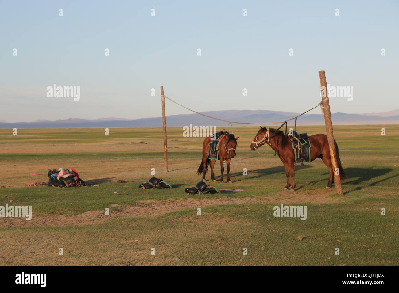 in the land of mongolia the nature and environment Stock Photo - Alamy