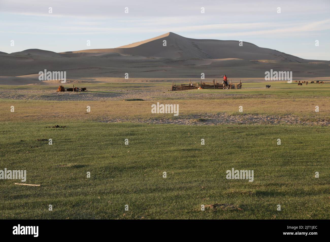 in the land of mongolia the nature and environment Stock Photo - Alamy