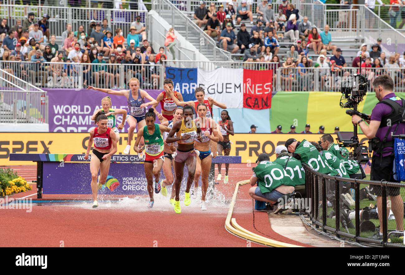 Women’s 3000m steeplechase heats at the World Athletics Championships ...