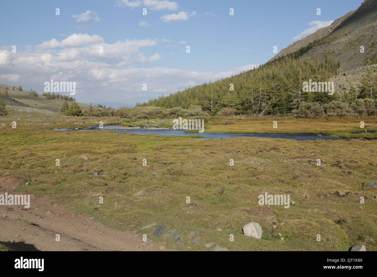 in the land of mongolia the nature and environment Stock Photo - Alamy