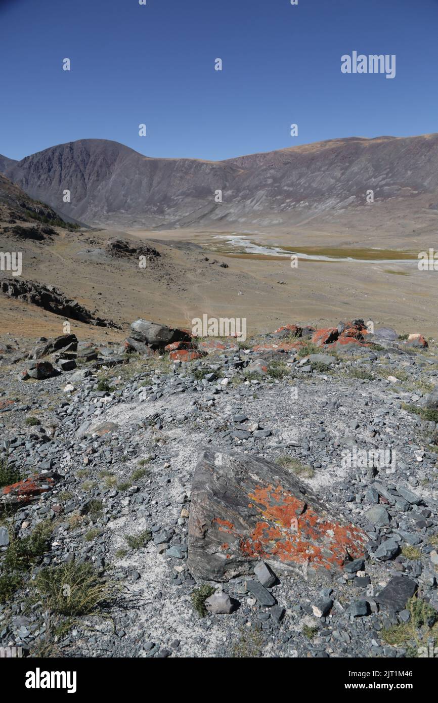 in the land of mongolia the nature and environment Stock Photo - Alamy