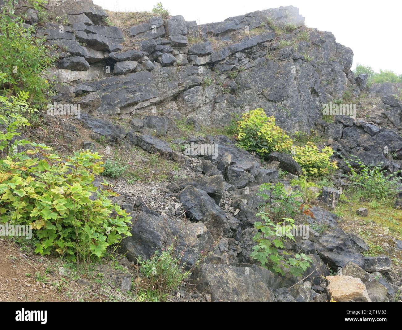 Rock formations, fossil trails & former limestone quarries are all part ...