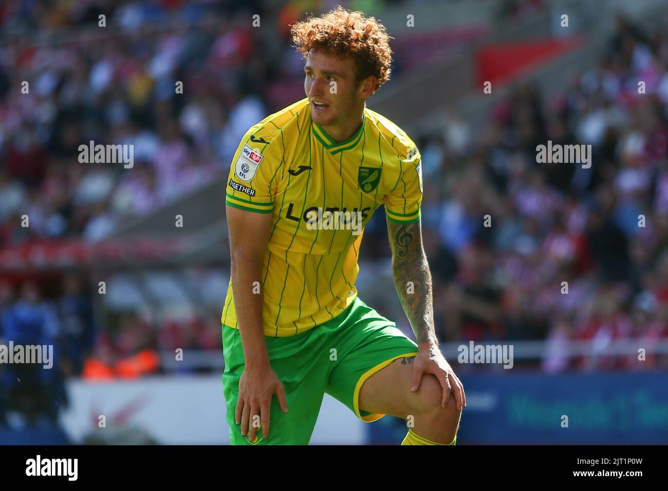 Norwich City's Josh Sargent during the Sky Bet Championship match ...