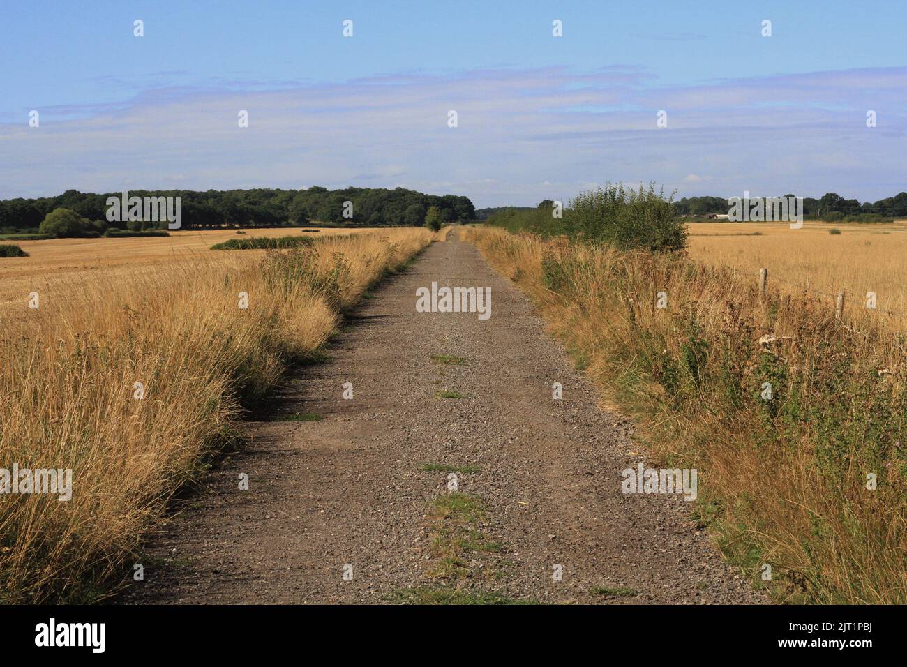 Long track in the middle of the nowhere with stubble fields either side ...