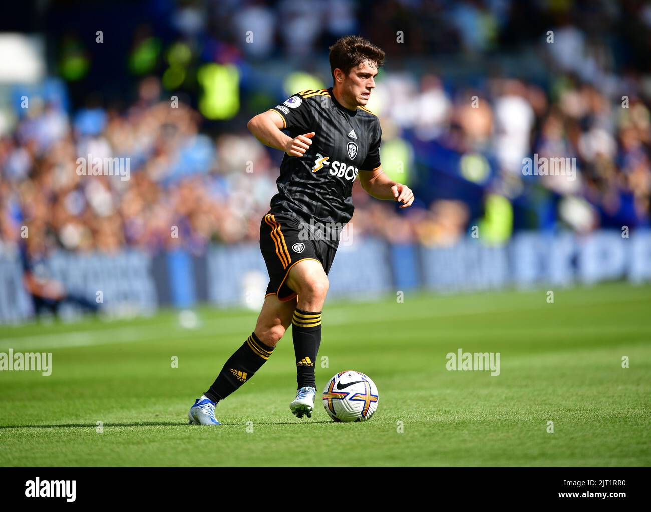 Dan james leeds august 2022 hi-res stock photography and images - Alamy