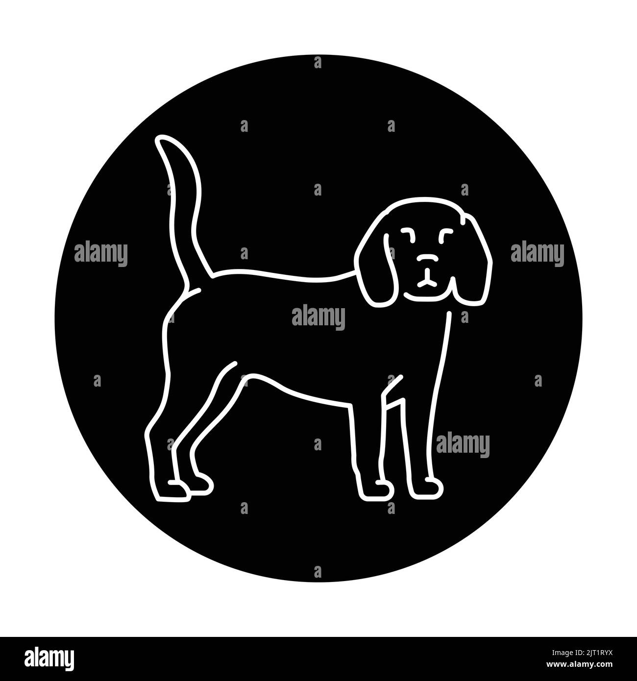 Beagle color line icon. Dog breed. Pictogram for web page, mobile app ...