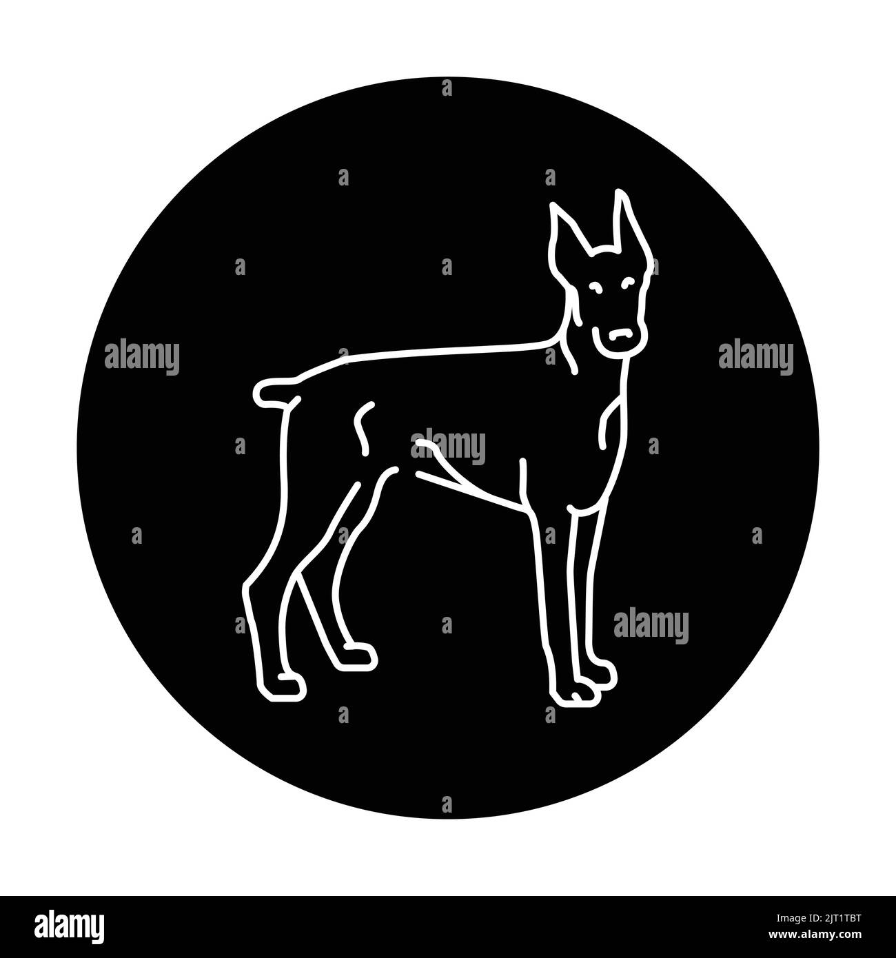 Doberman color line icon. Dog breed. Pictogram for web page, mobile app ...