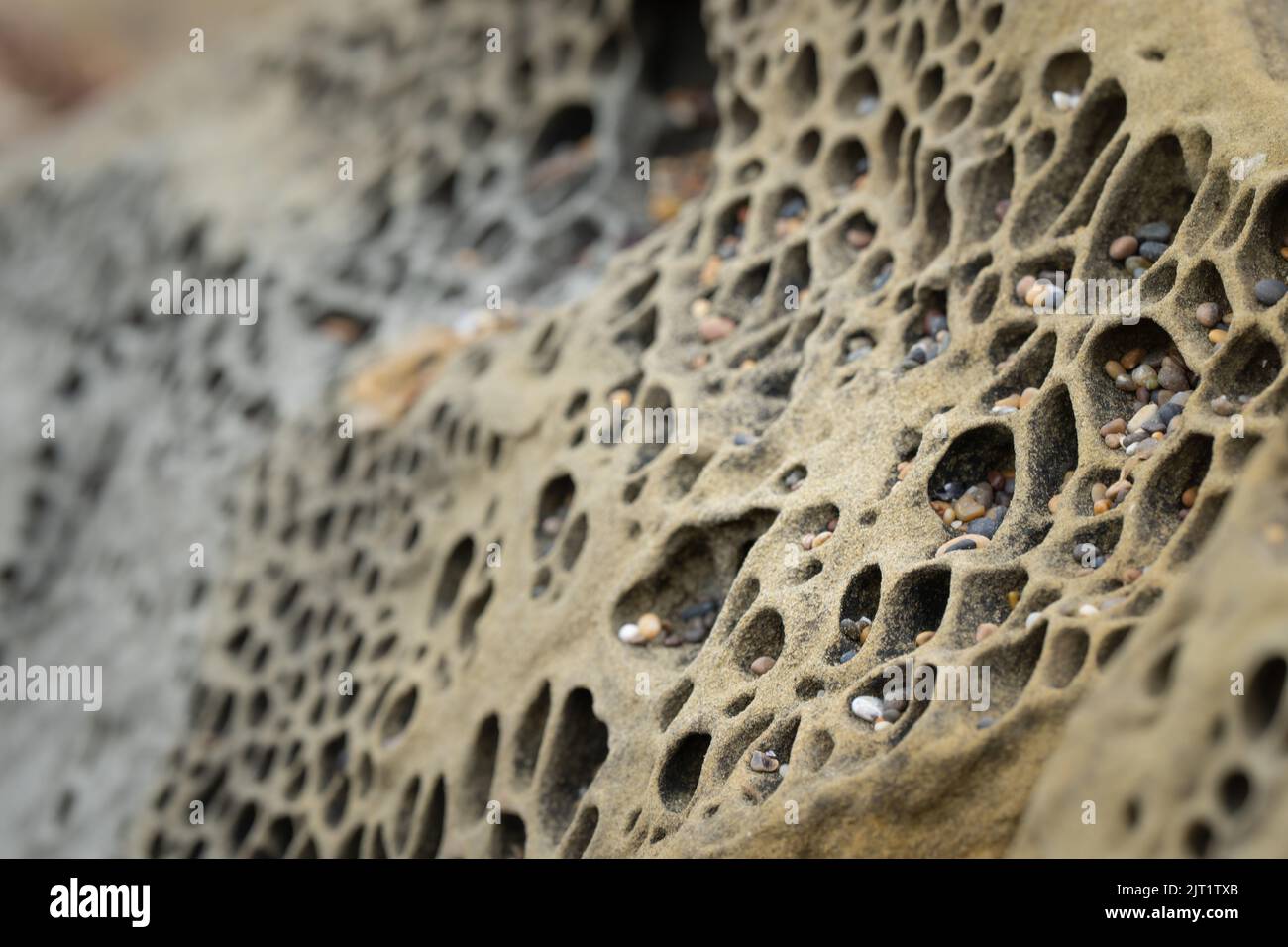 A closeup of rock formation with hundreds of holes with tiny pebble ...