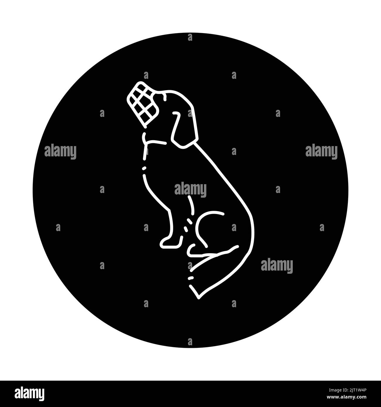 Dog golden retriever in muzzle color line icon. Pictogram for web page ...