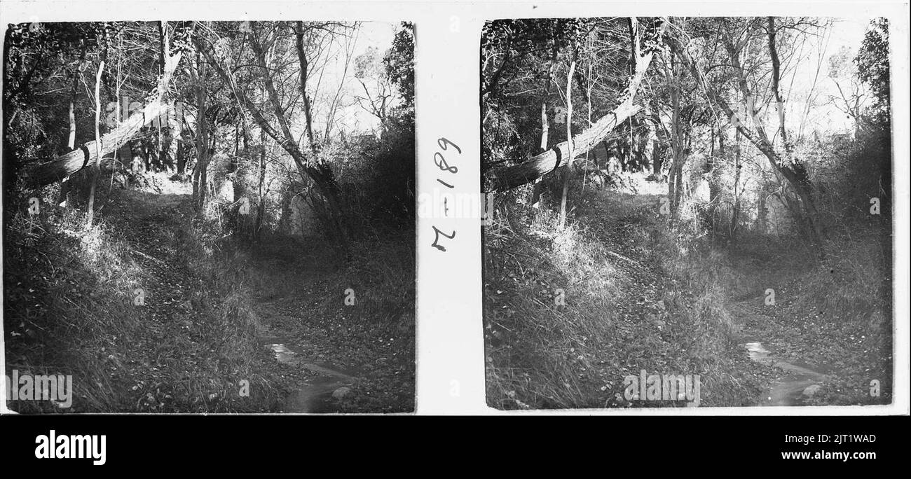 Digna Black and White Stock Photos & Images - Alamy