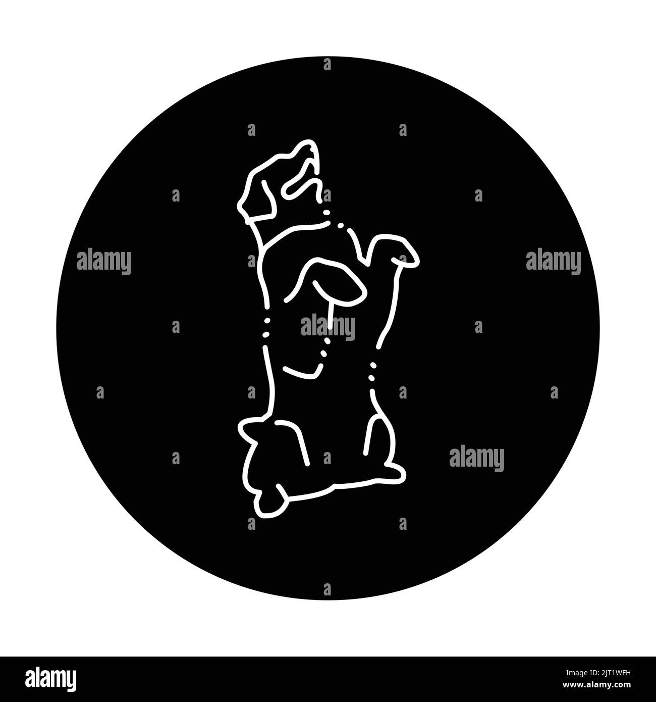 Golder retriever makes command color line icon. Pictogram for web page ...