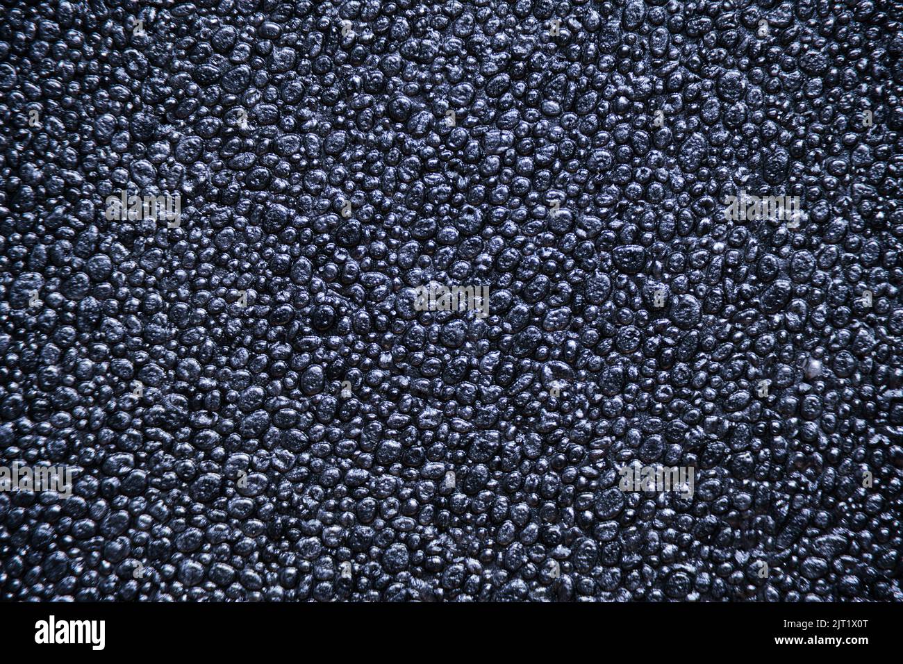 Abstract background, grey foam texture, porous material made up cells ...