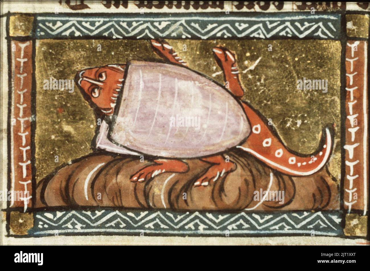 Tortuca (turtle) - Der naturen bloeme - Jacob van Maerlant - KB KA 16 ...