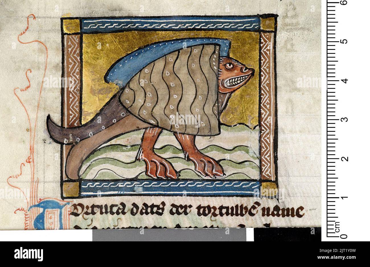 Tortuca (turtle) - Der naturen bloeme - Jacob van Maerlant - KB KA 16 ...