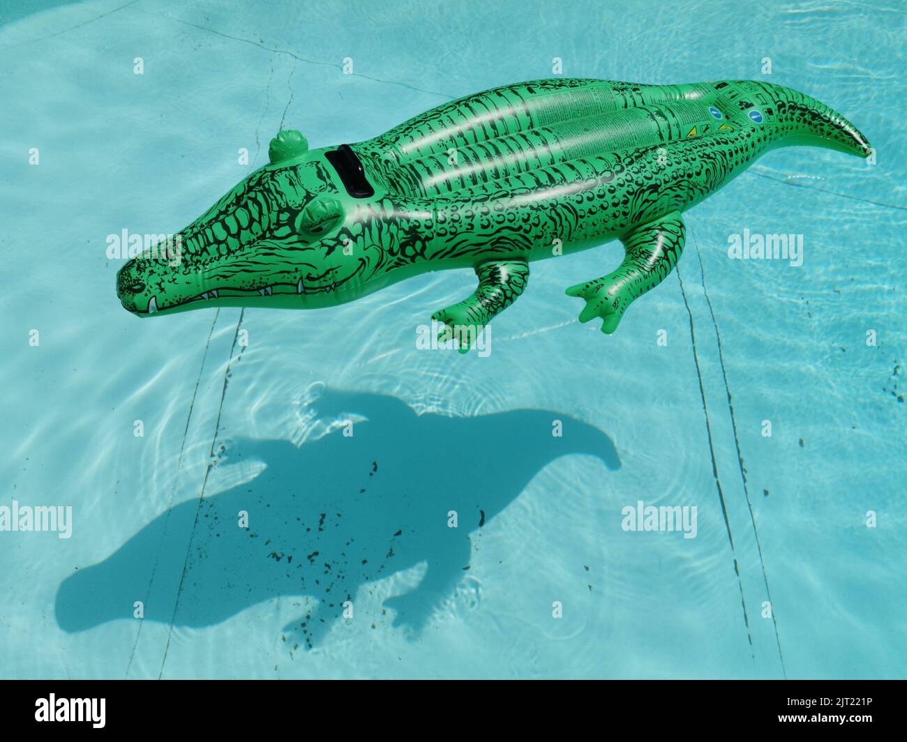 A green crocodile-shaped inflatable swimming on a surface of a pool ...