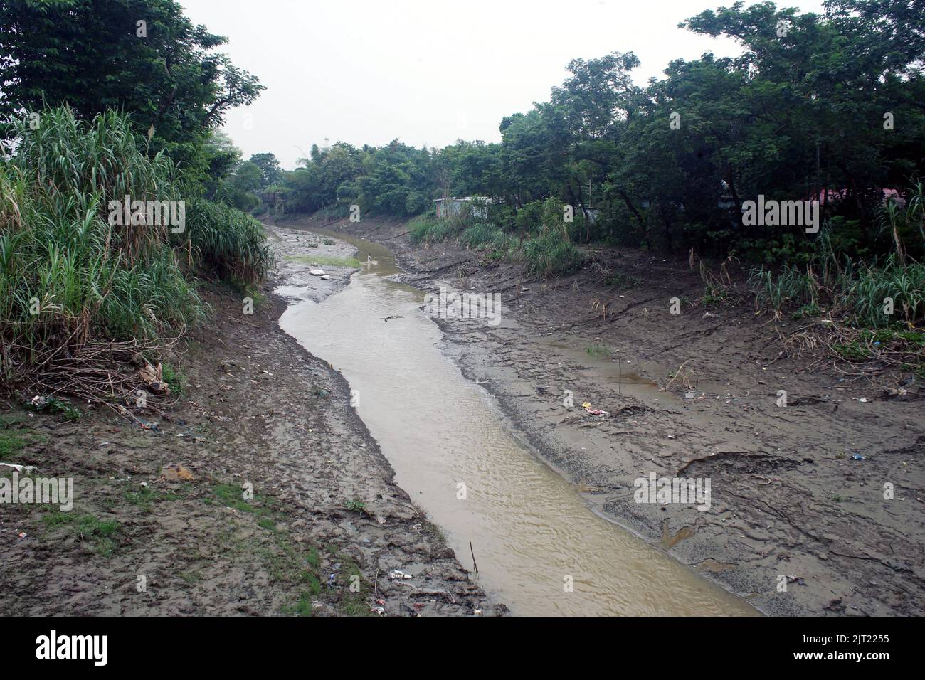 Boro rice cultivation hi-res stock photography and images - Alamy