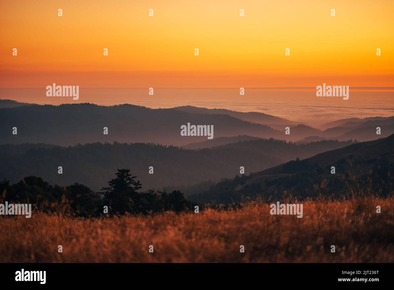 Sunset view from Borel Hill, in the Santa Cruz Mountains, Los Gatos ...