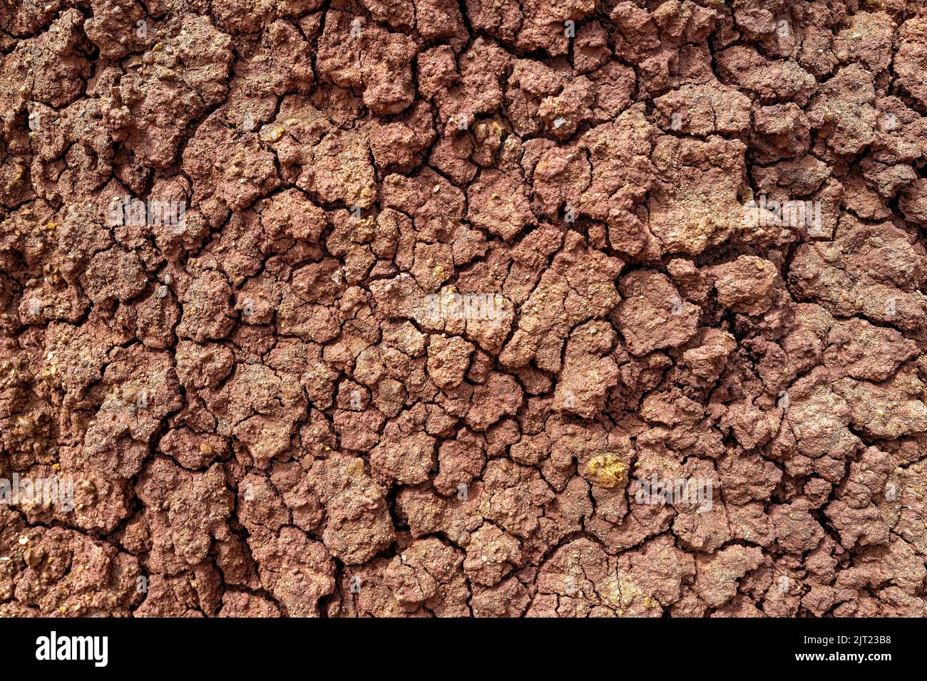 Mud crack fossil hi-res stock photography and images - Alamy