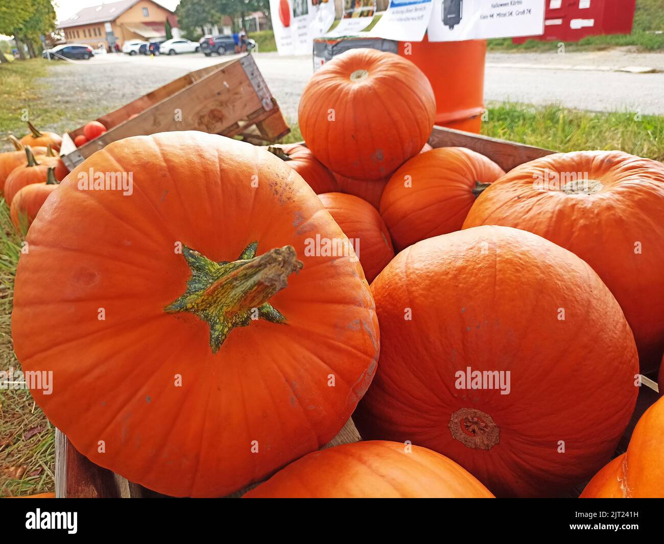 Money crops hi-res stock photography and images - Alamy