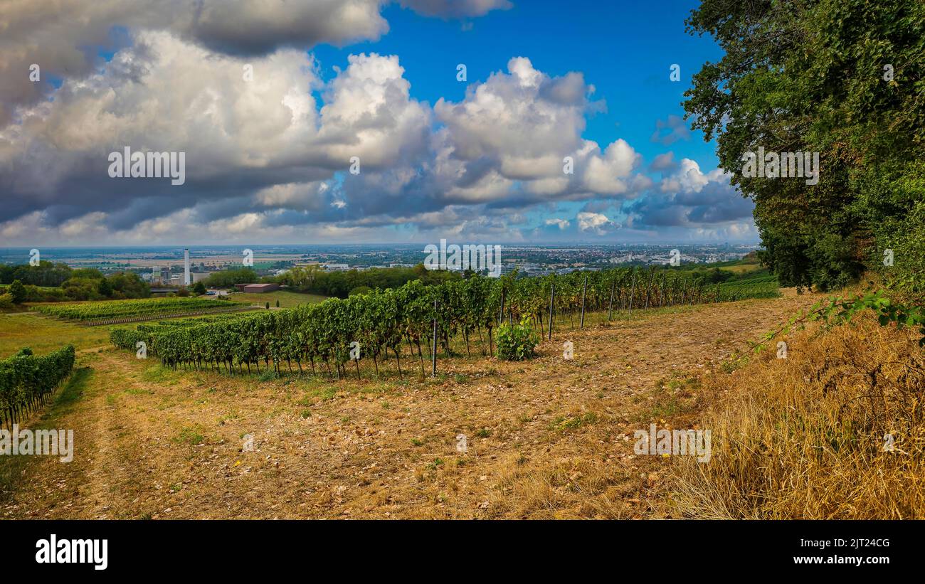 Leimen hi-res stock photography and images - Alamy