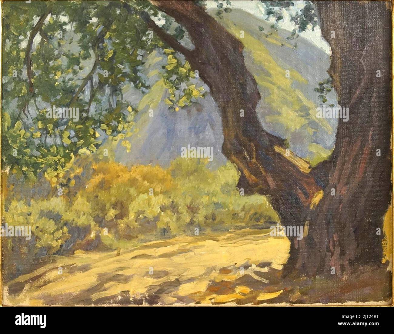 Townsley hi-res stock photography and images - Alamy