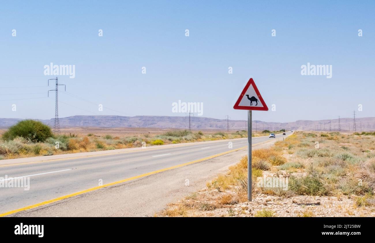 Camel crossing road sign on a way through the desert Stock Photo - Alamy