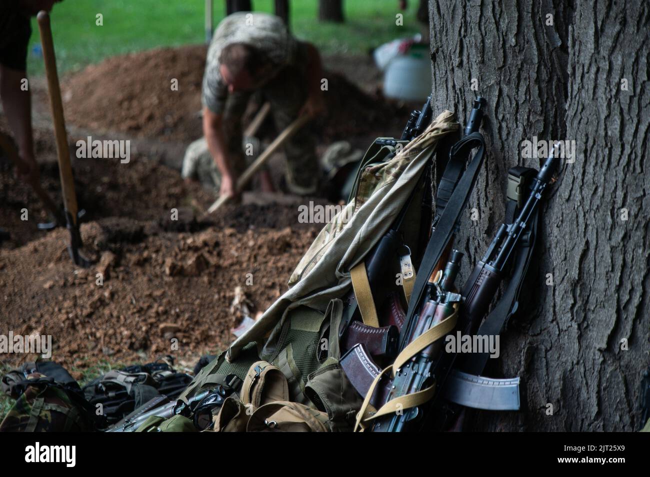 Rifles lean against a tree as Ukrainian soldiers dig trenches along ...