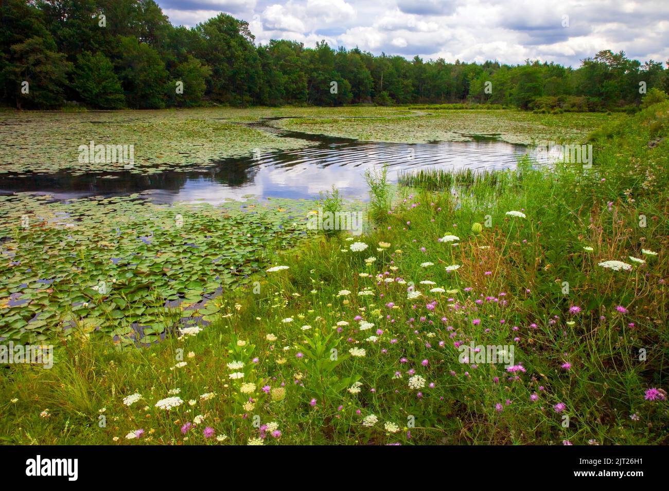 Larsen Lake is an empoundment along the headwaters of the Lehigh River ...