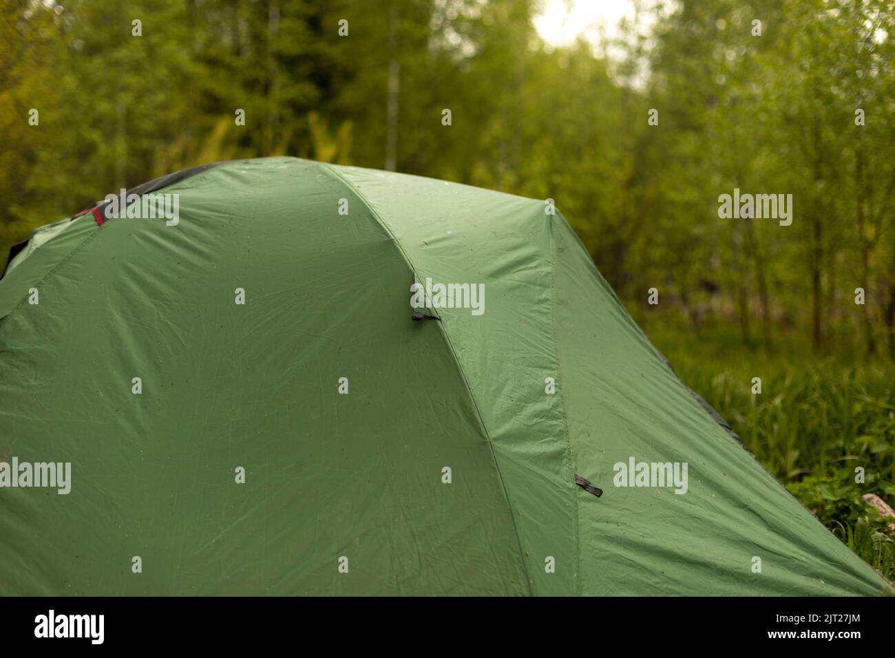 Tourist tent in forest. Tent for sleeping in nature. Equipment for ...