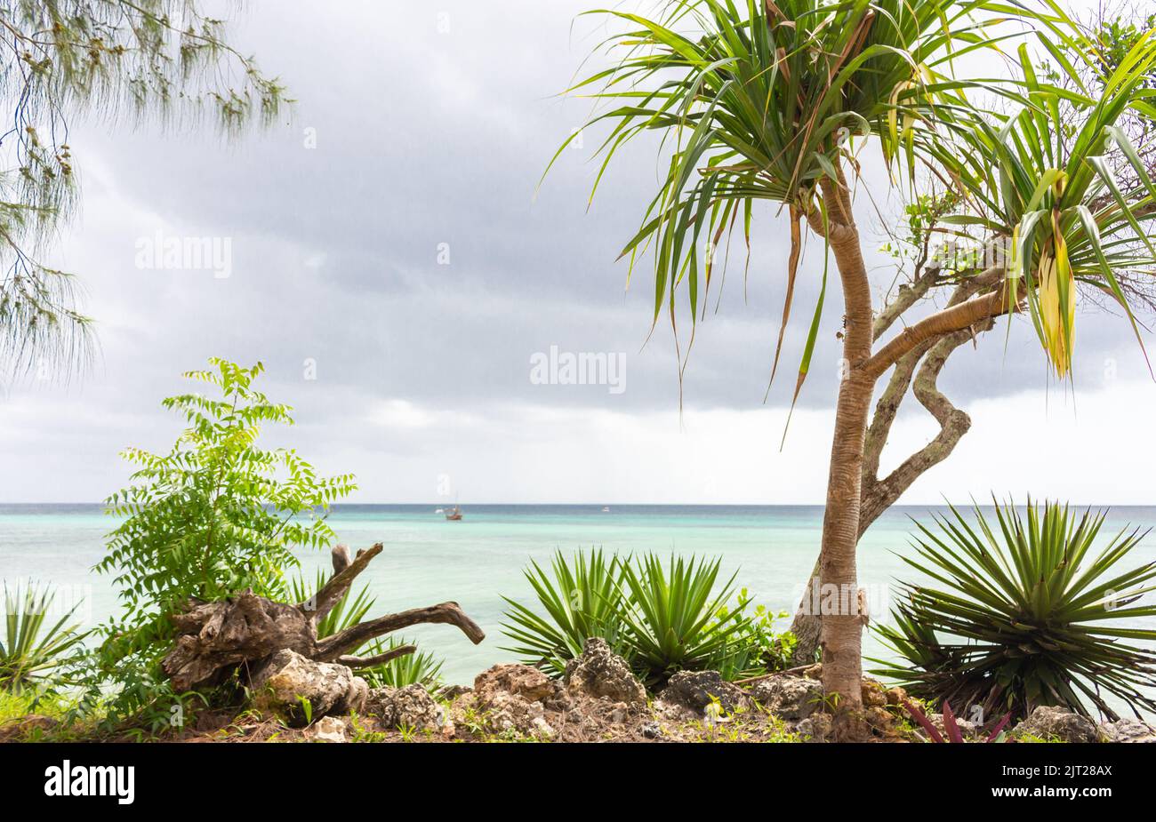 Boat in tropical lagoon. Sailboat with exotic coast on foreground ...
