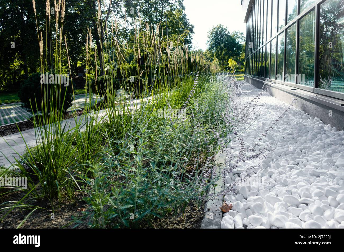 Modern design urban garden landscaping. Flower garden with beautiful ...