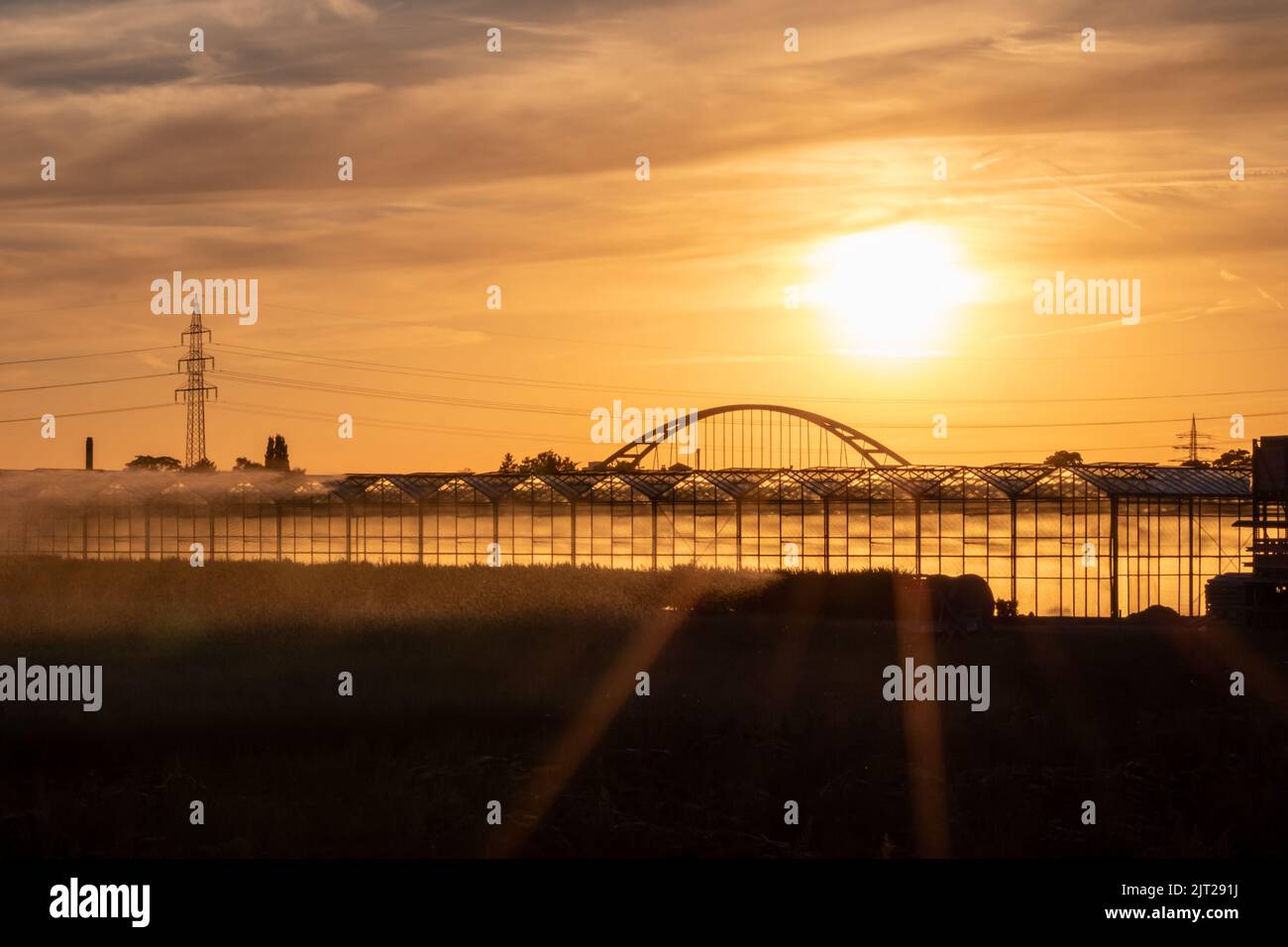 Golden sunset over greenhouse silhouettes with bridge and electricity ...