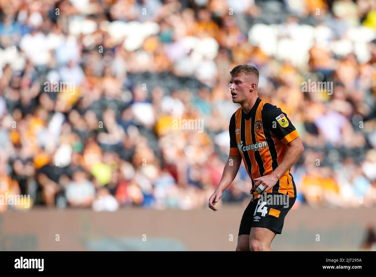 Andy hull hi-res stock photography and images - Alamy