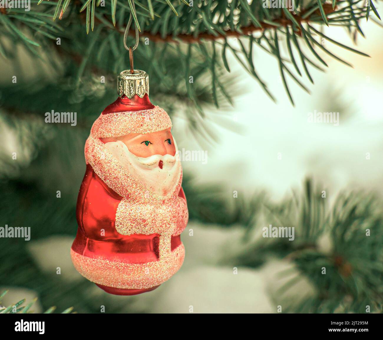 Christmas toy Santa Claus hangs on a snow-covered branch of a Christmas ...