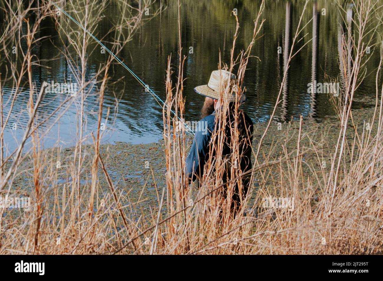 Fisherman fly fishing at lake in North Carolina on clear summer day ...