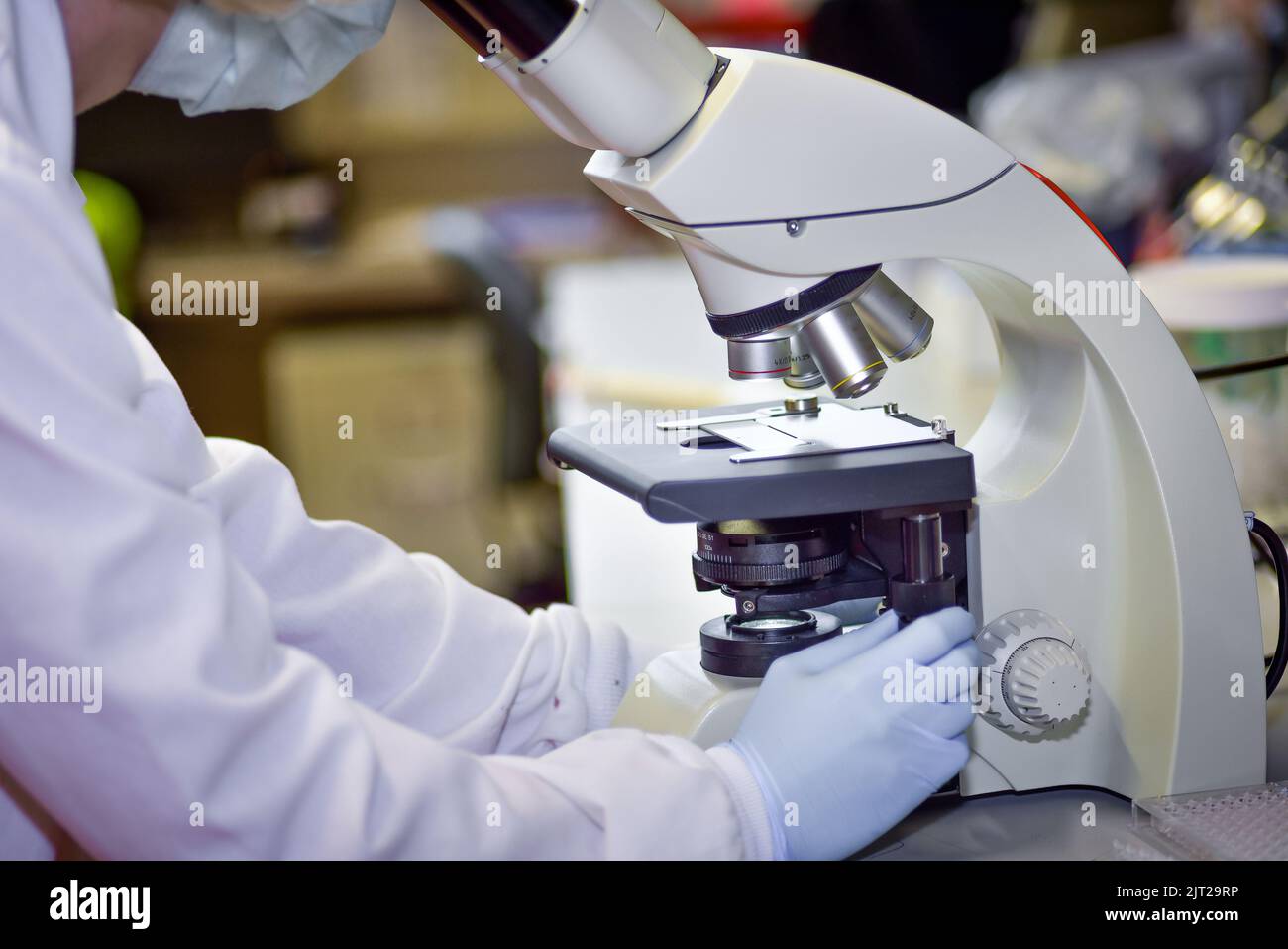 Beautiful woman examines cell culture under microscope Stock Photo - Alamy