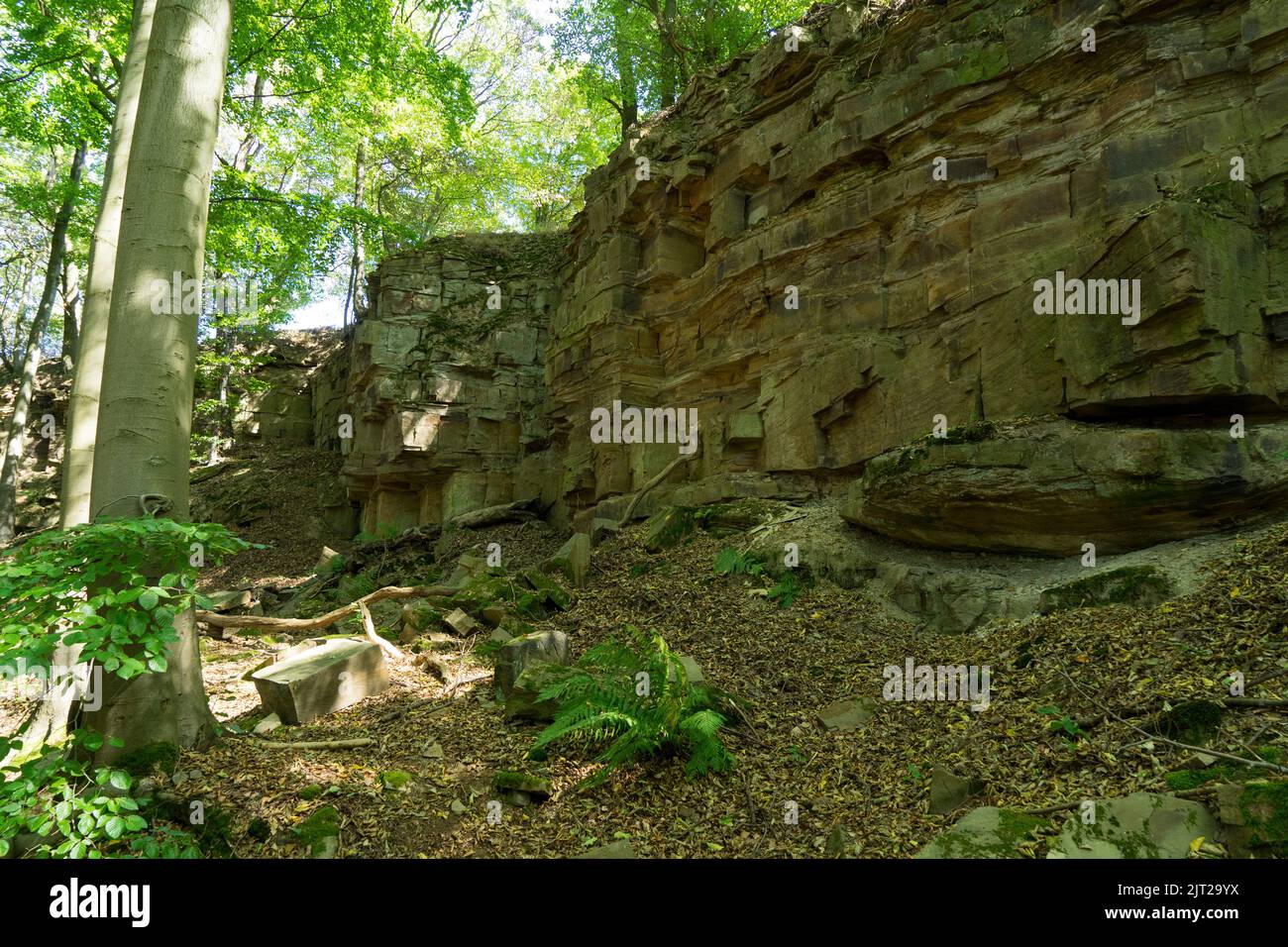 Old stone quarry near the german village called Trendelburg Stock Photo ...