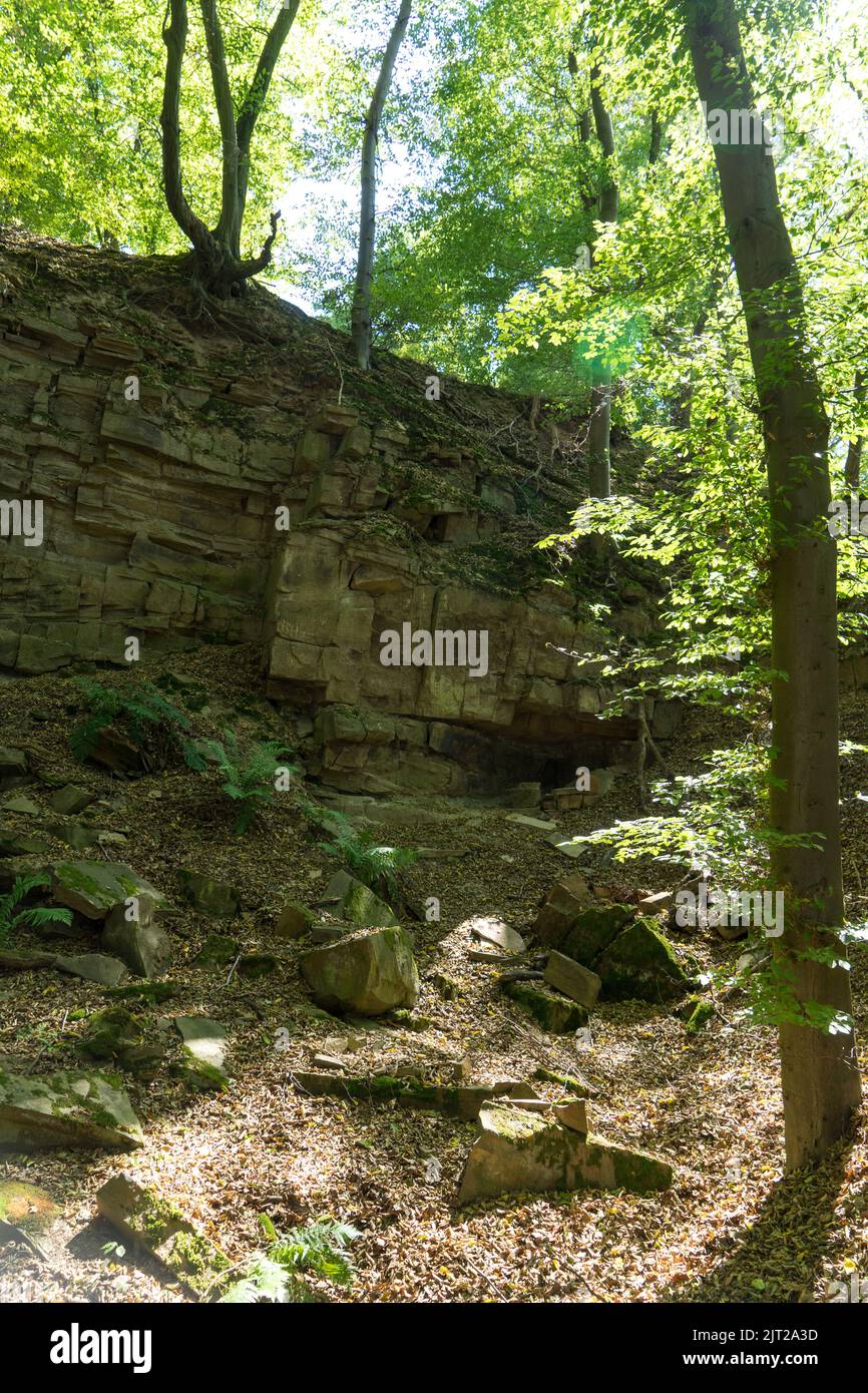 Old stone quarry near the german village called Trendelburg Stock Photo ...