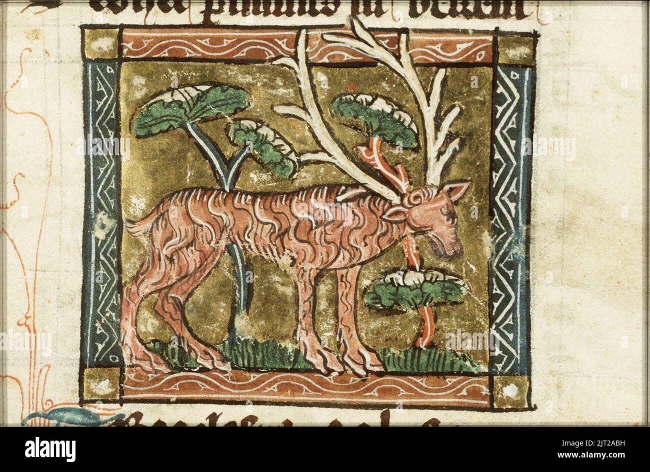 Tragelafus (antelope) - Der naturen bloeme - Jacob van Maerlant - KB KA ...