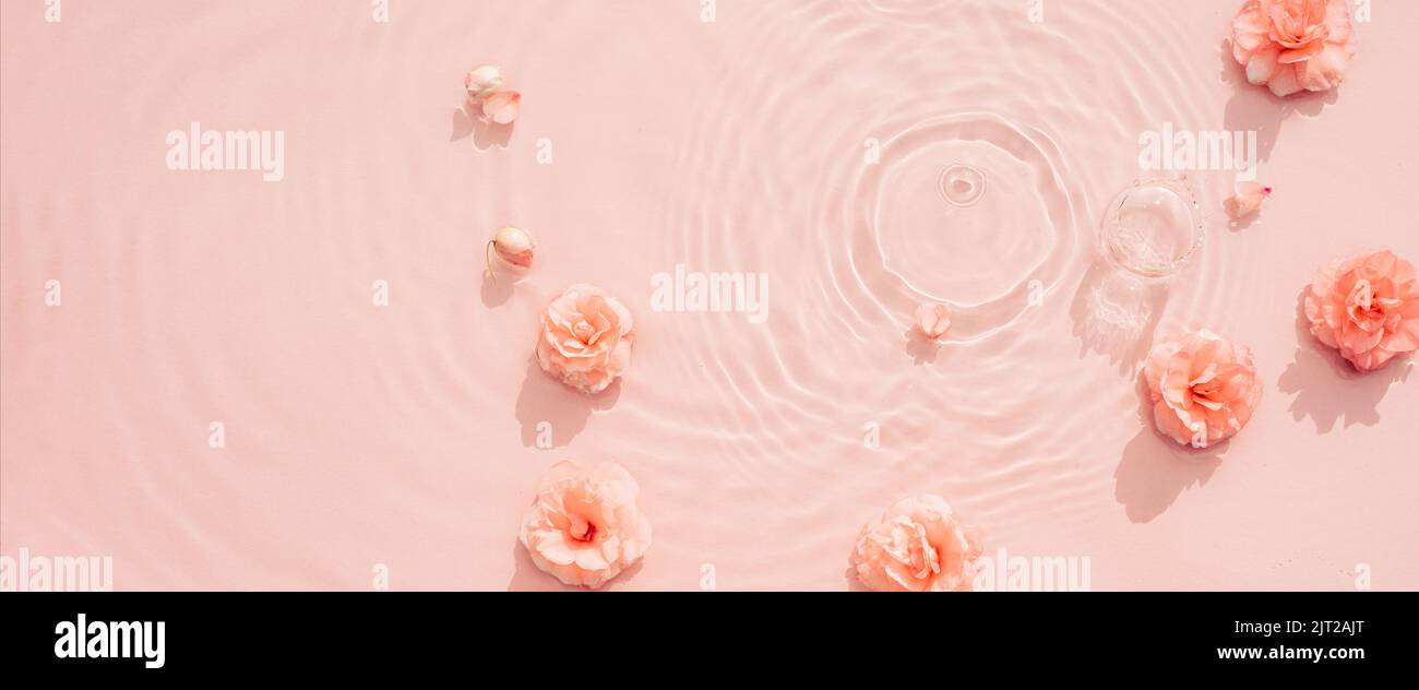 Pink aquatic, transparent water texture with ripples and drops and pink ...