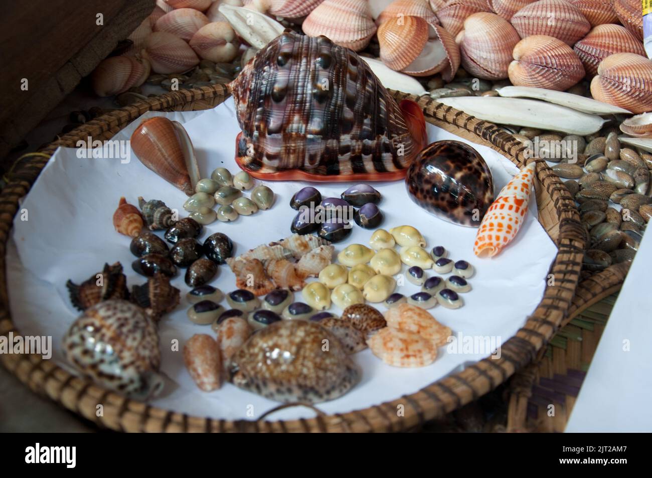 Shells africa hi-res stock photography and images - Alamy