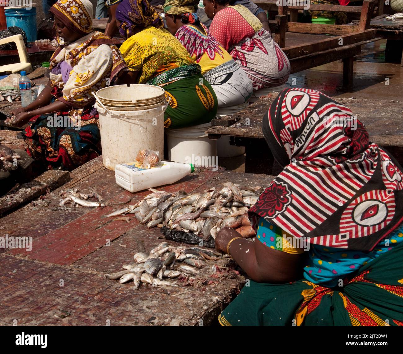 Women cleaning fish at the Fish Market, Dar-es-Salaam, Tanzania, Africa ...