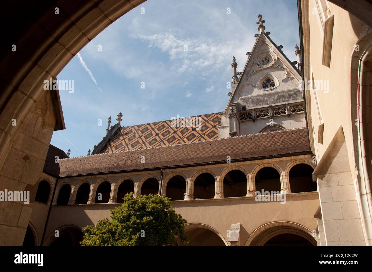 Roof and outer buildings, Royal Monastery of Brou, Brou, Bourg-en ...