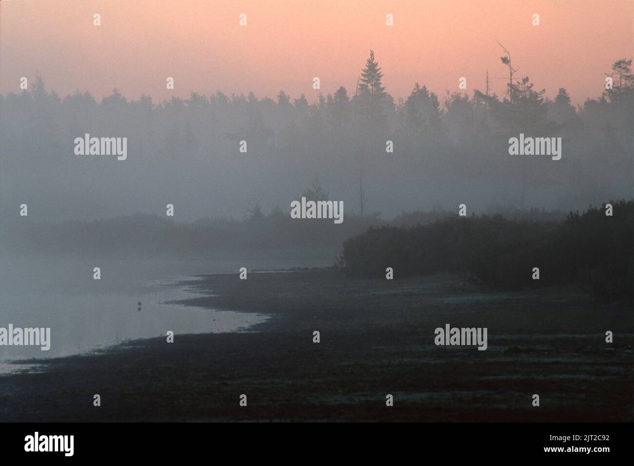 Late summer just before a foggy sun rise in Michigan's upper peninsula ...