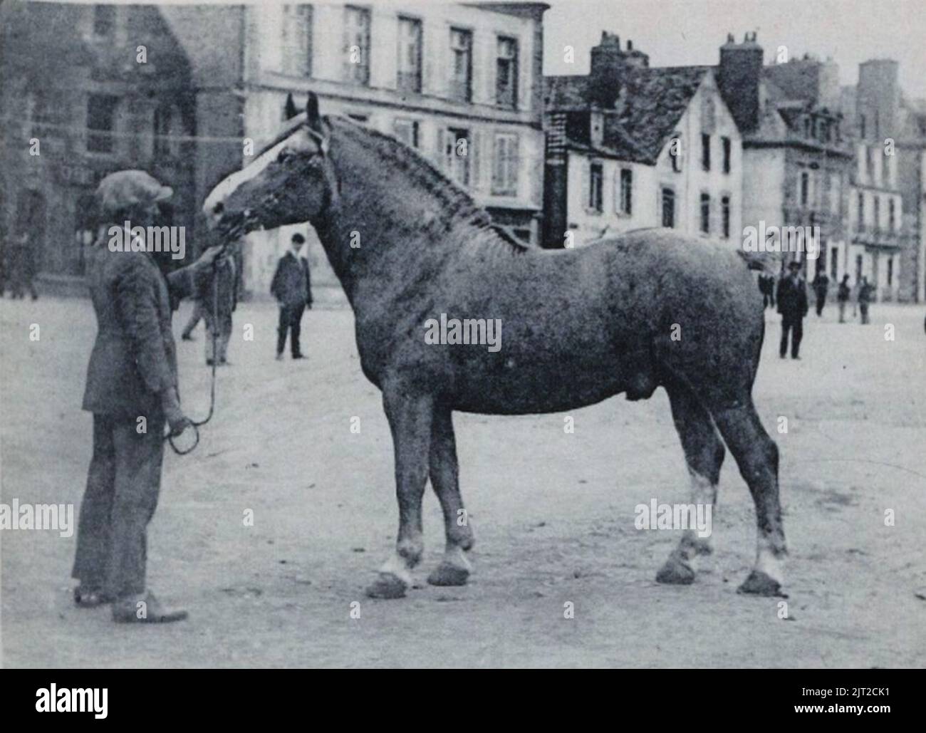 Postier breton hi-res stock photography and images - Alamy