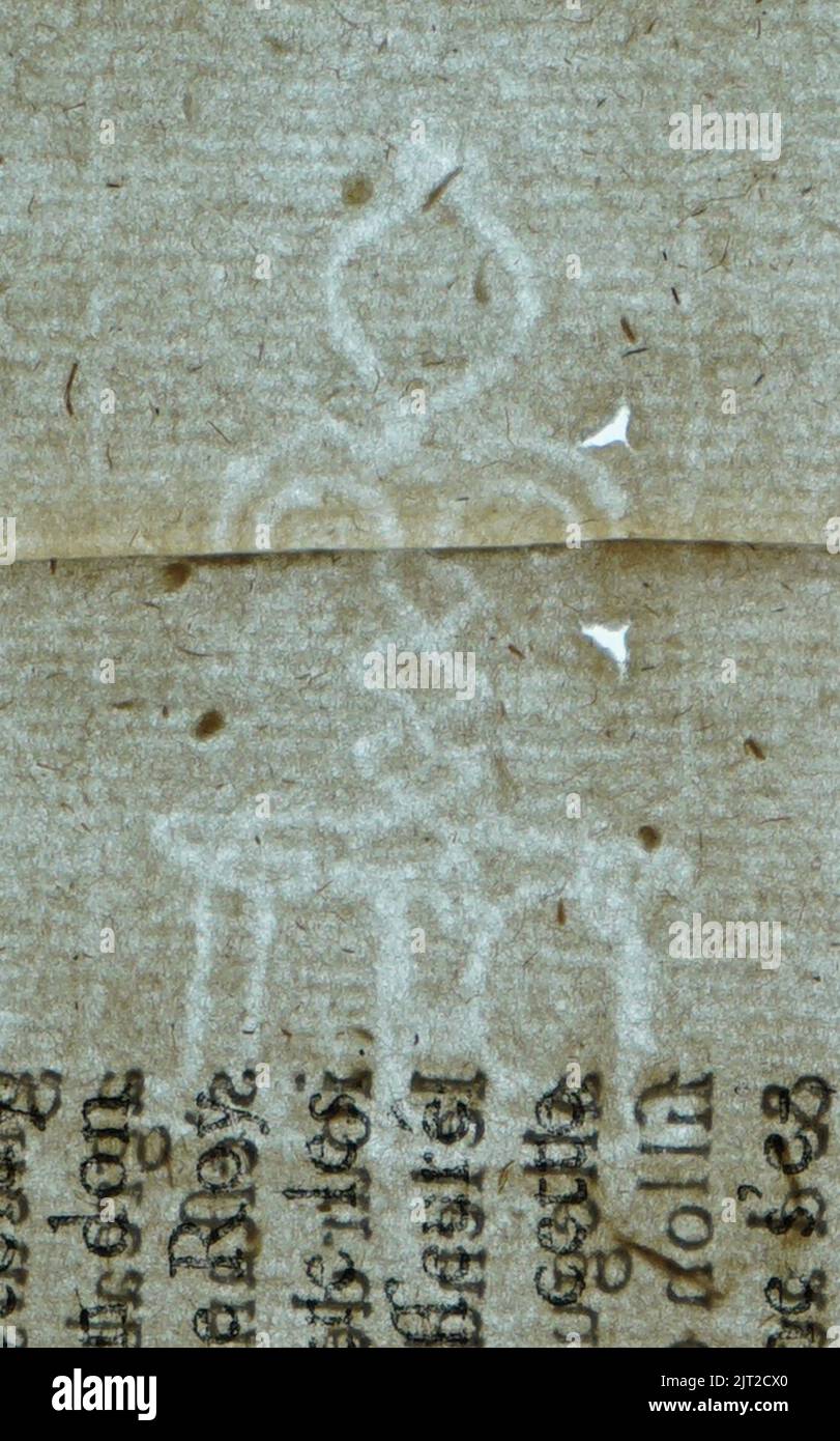 Traité de paix France république Ang Ecoss Irl 82519 Stock Photo - Alamy