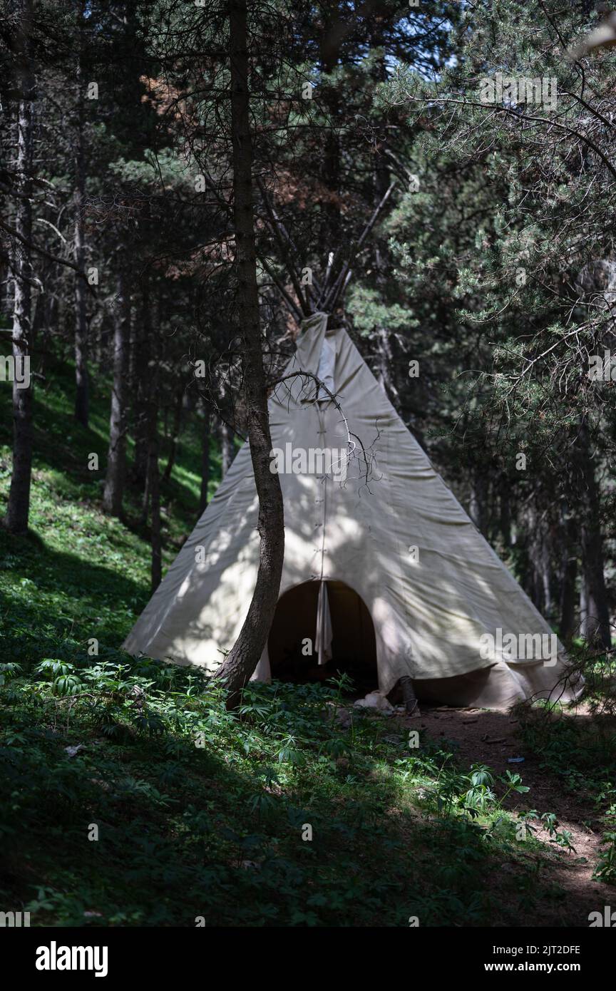 A vertical shot of a small white Indian tipi hut in the woods with ...